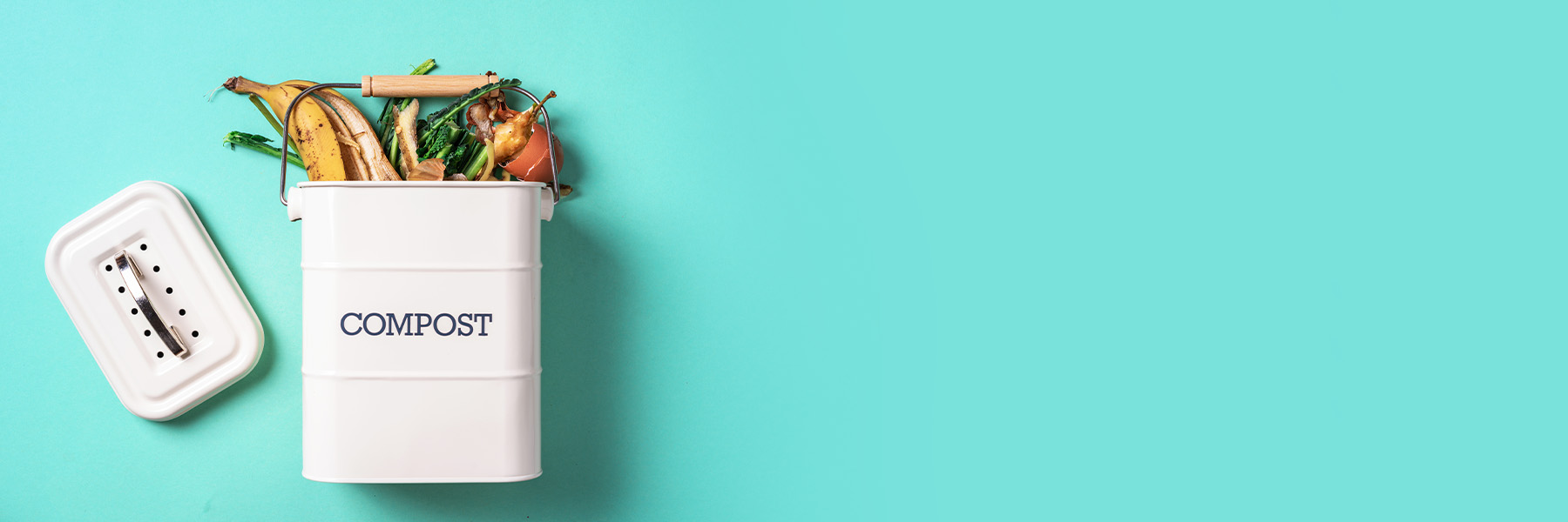 A Beginners Guide to Composting | INDEX